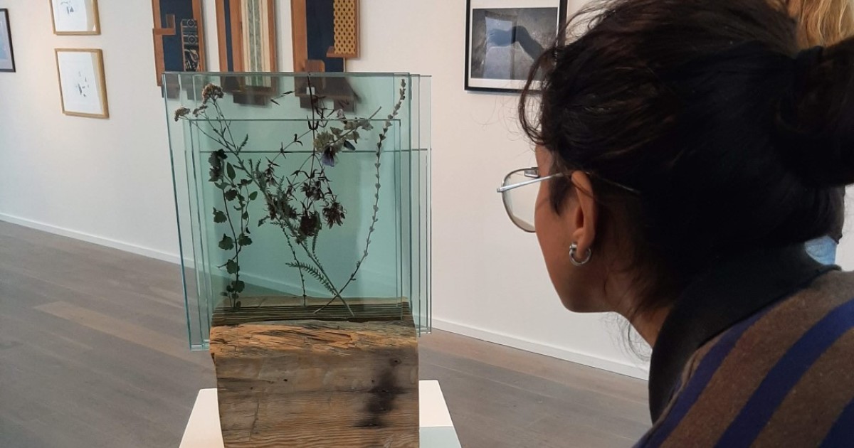 Solstice Arts Centre | School Gallery Tours (primary & secondary)